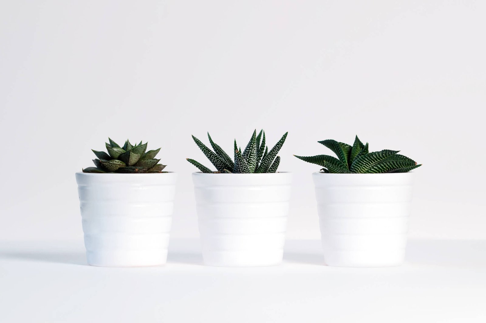 The history of the first digital illustrations of the modern era | Ahmad Hamdi